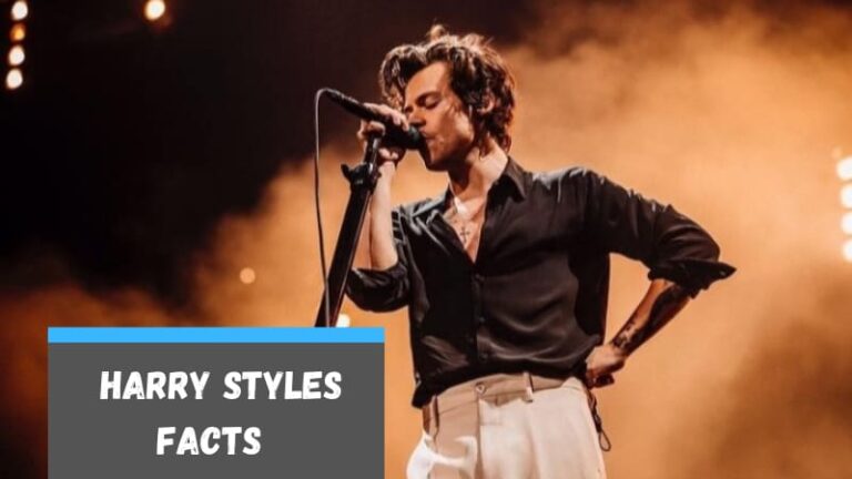 Exciting Harry Styles Facts You Didn't Know