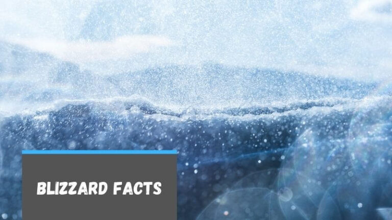 Blizzard Facts For Kids - Facts Just For Kids