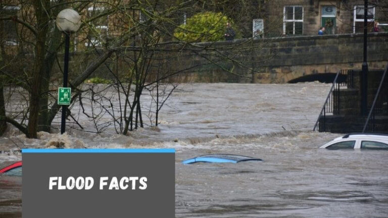 Flood Facts for Kids